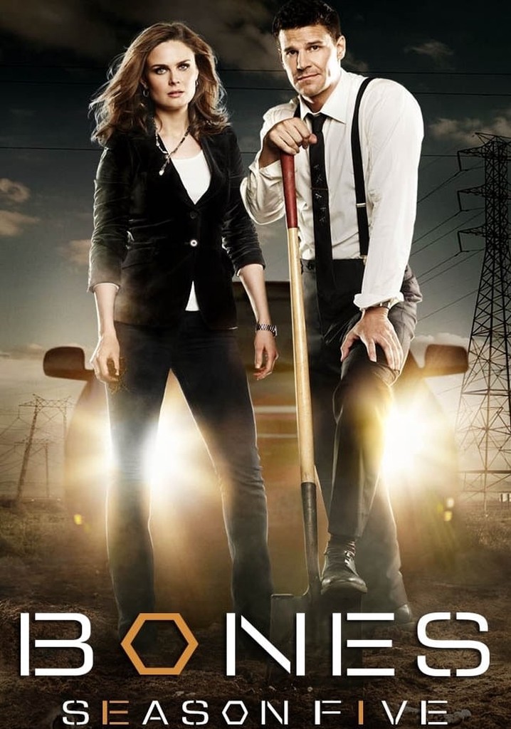 Bones temporada 5 - Ver todos los episodios online